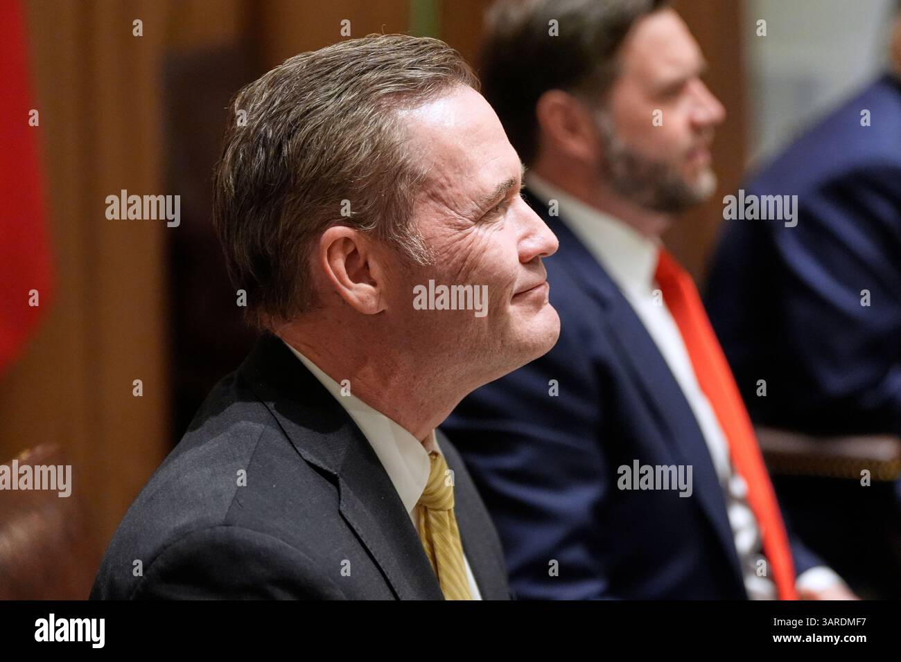 White House national security adviser Mike Waltz and Vice President JD ...