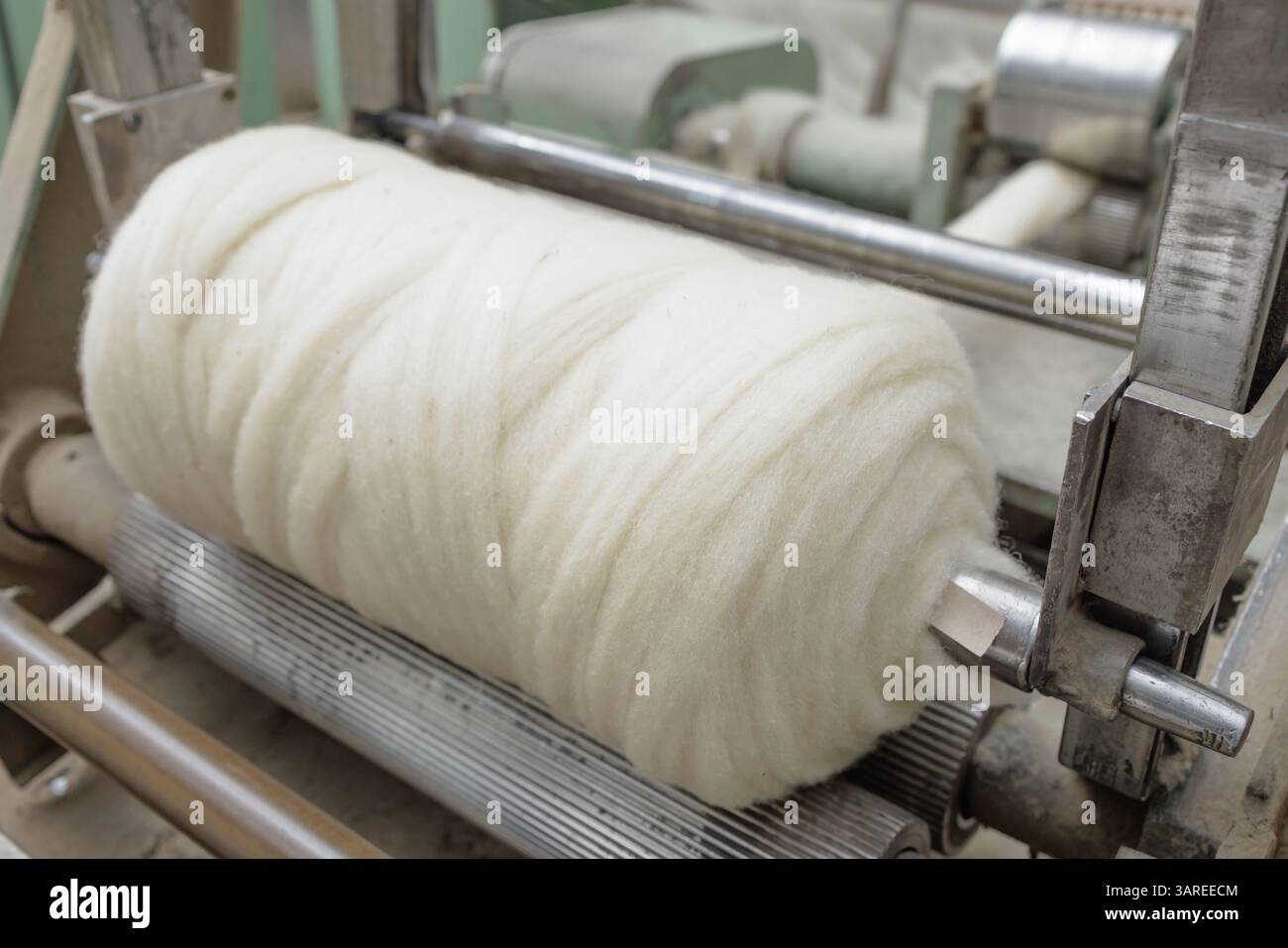 Large roll of carded wool fiber being wound on a spinning machine ...