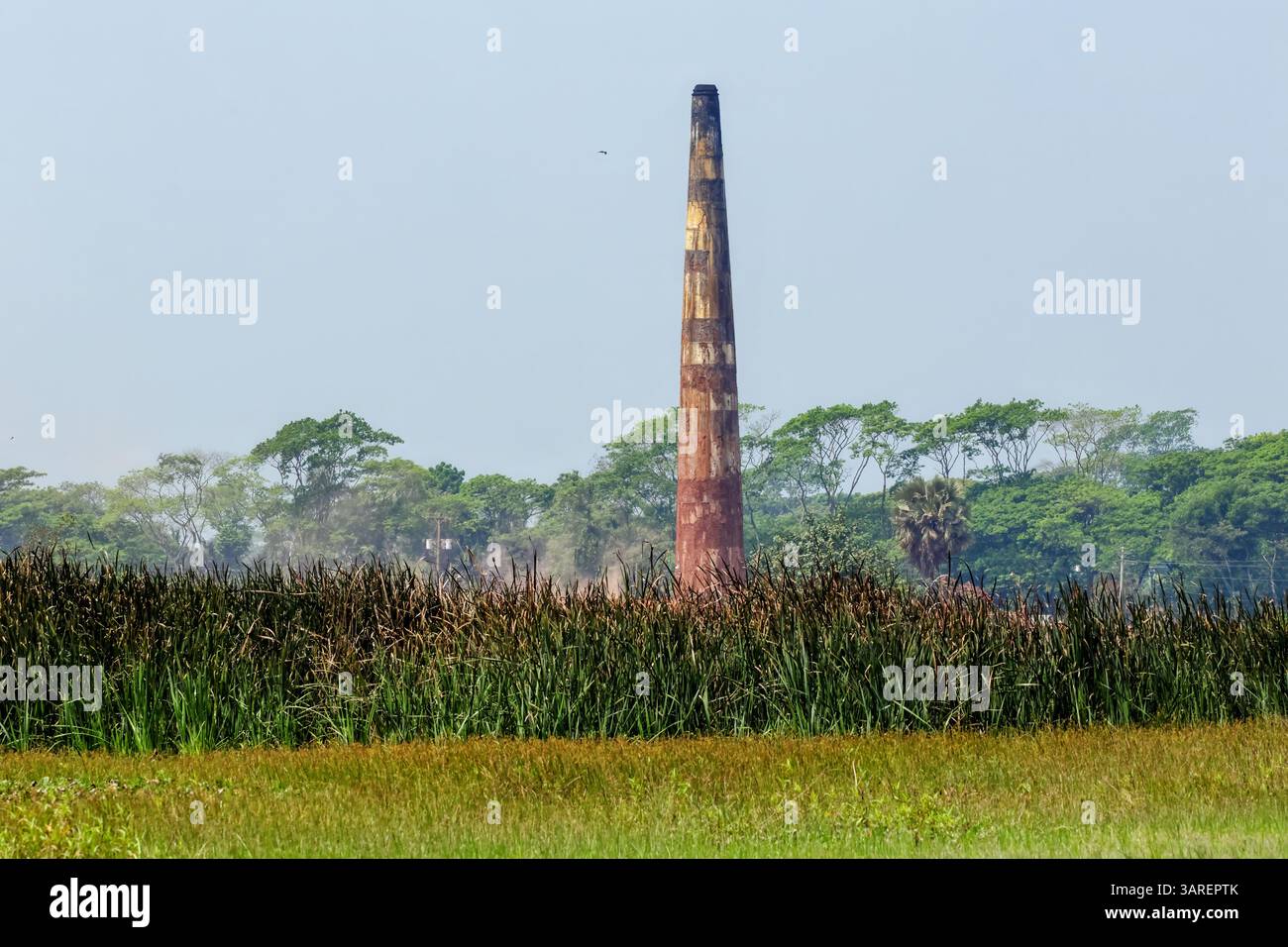 Brick field in the middle of nature.this photo was taken from Barisal ...