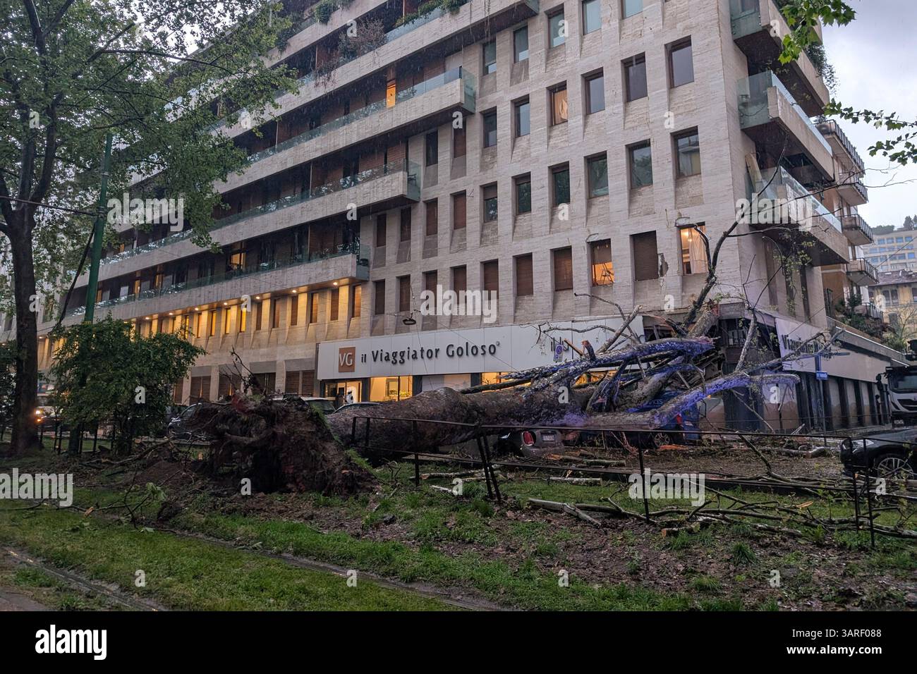 Milano, Italia. 17th Apr, 2025. Albero caduto in Viale Premuda a causa ...