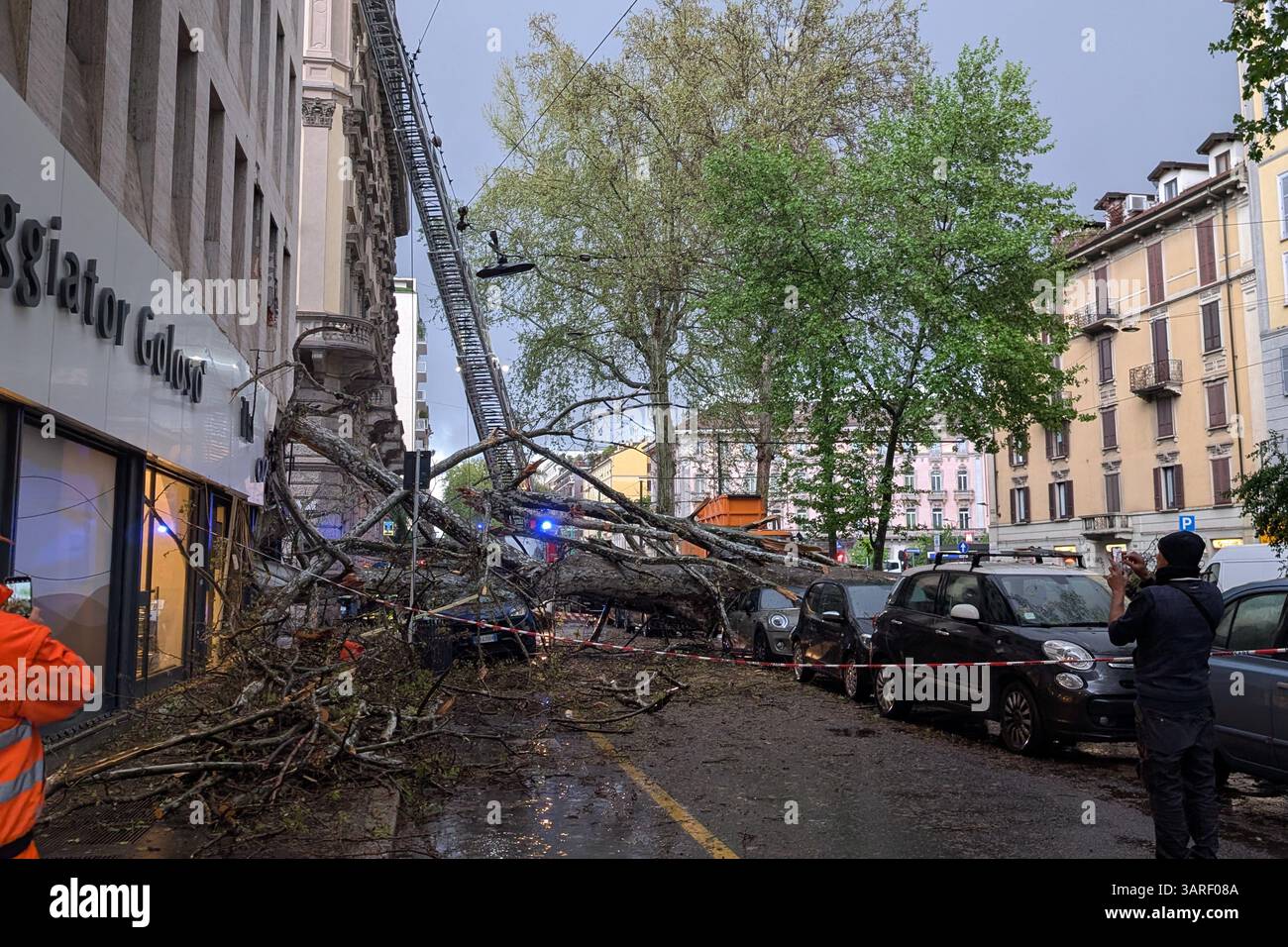 Milano, Italia. 17th Apr, 2025. Albero caduto in Viale Premuda a causa ...