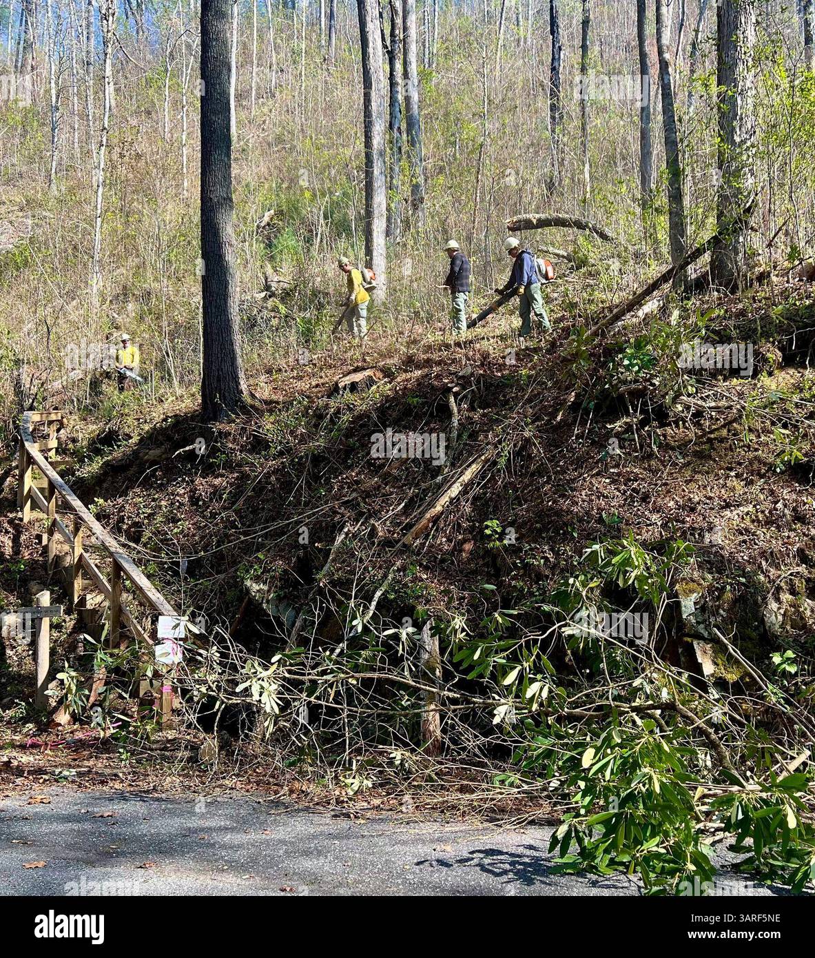 This photo provided by the U.S. Forest Service shows a team of ...