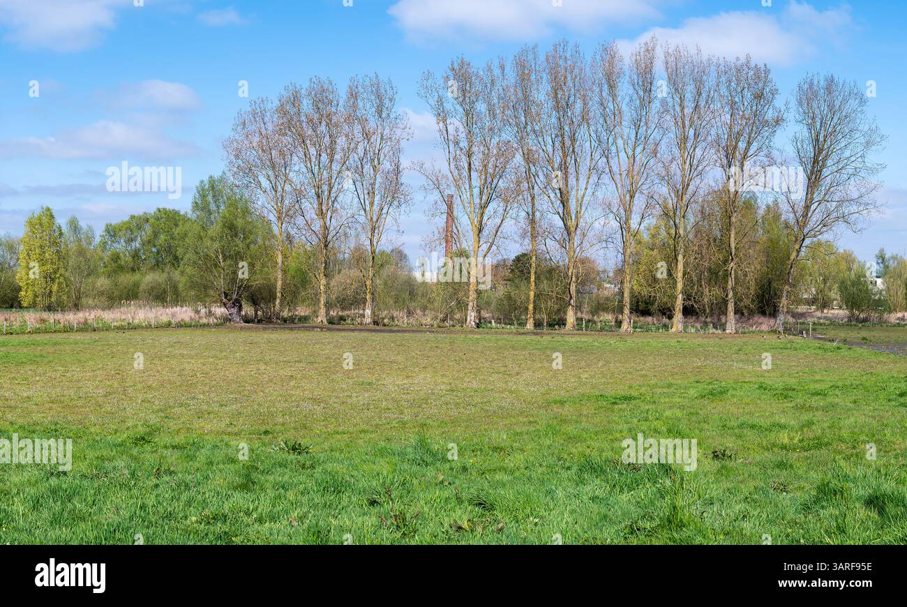 The Paddenbroek wetland meadow nature reserve in Kluisbergen, East ...