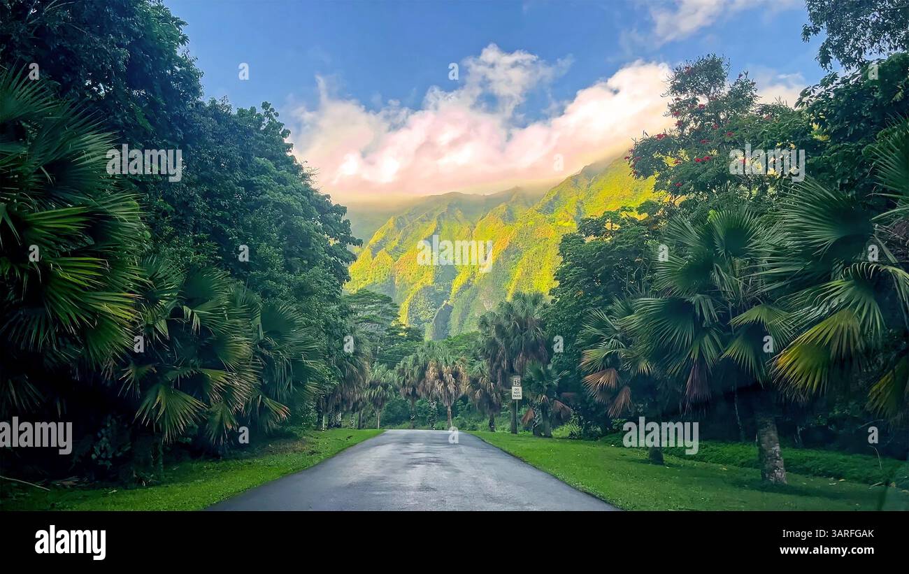 Scenic Hawaiian Road Through Lush Green Mountains. A tropical road in ...