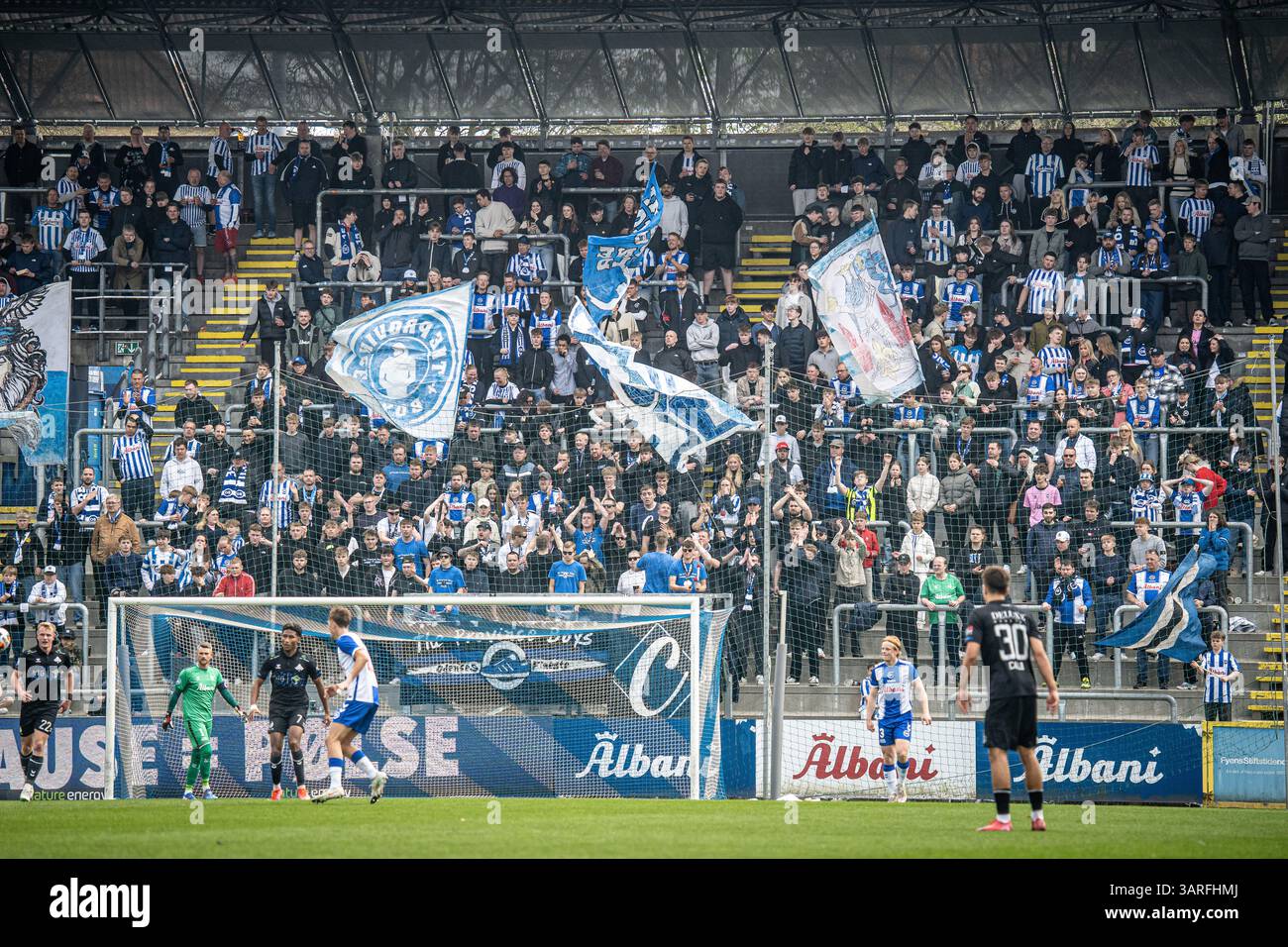 Odense, Denmark. 17th Apr, 2025. Football fans of Odense BK seen on the ...