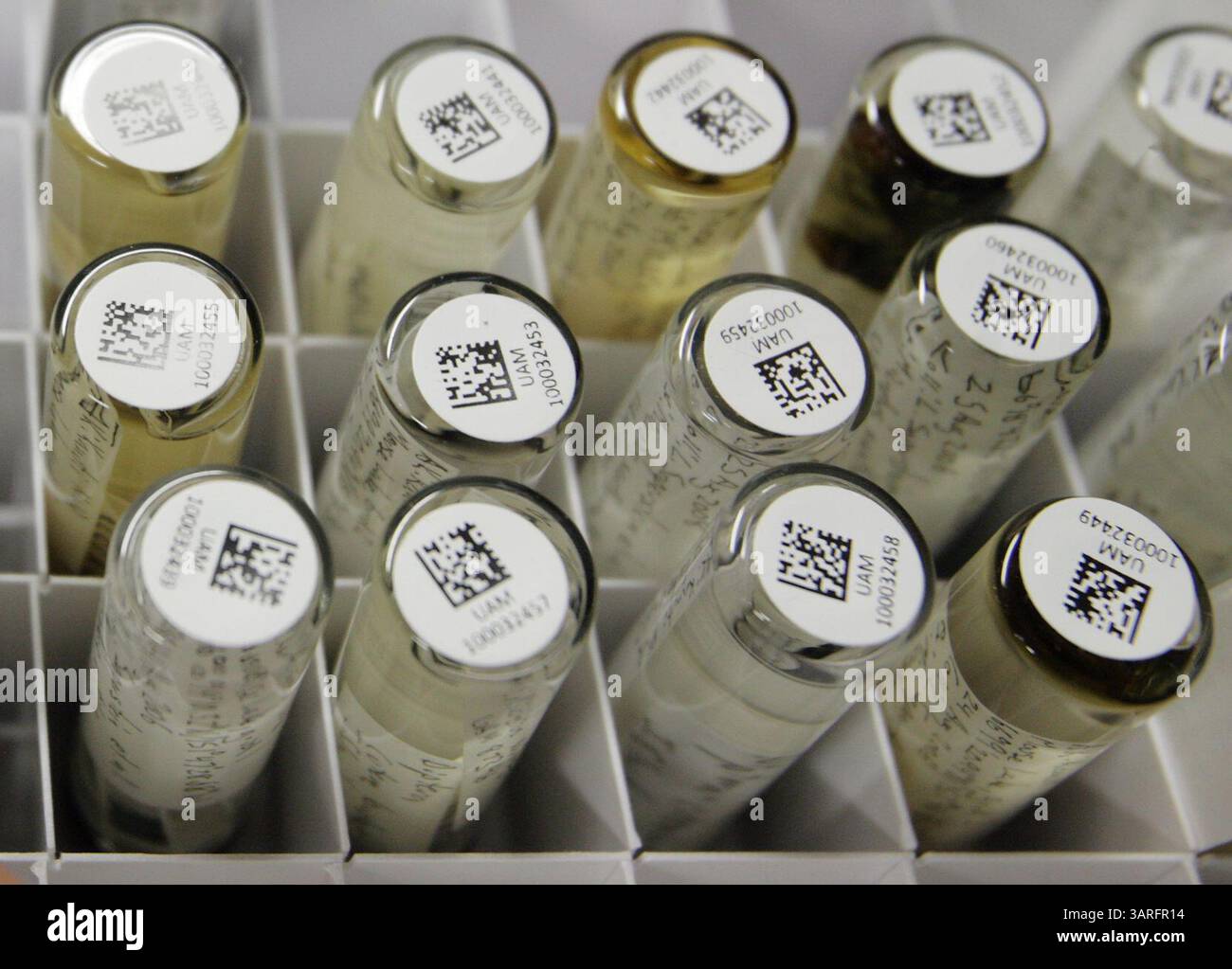 Specimen jars museum of hi-res stock photography and images - Alamy