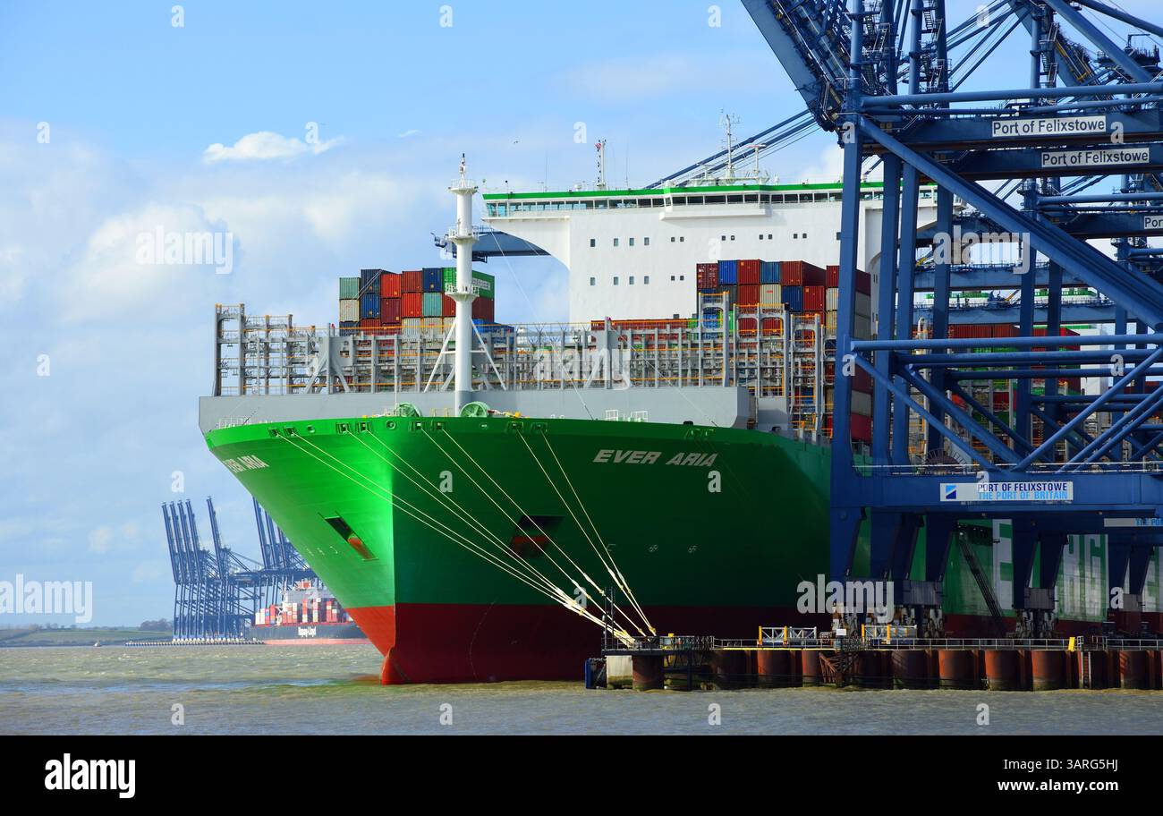 Large Container Ship Ever Aria at Felixstowe Docks with Cranes Stock ...