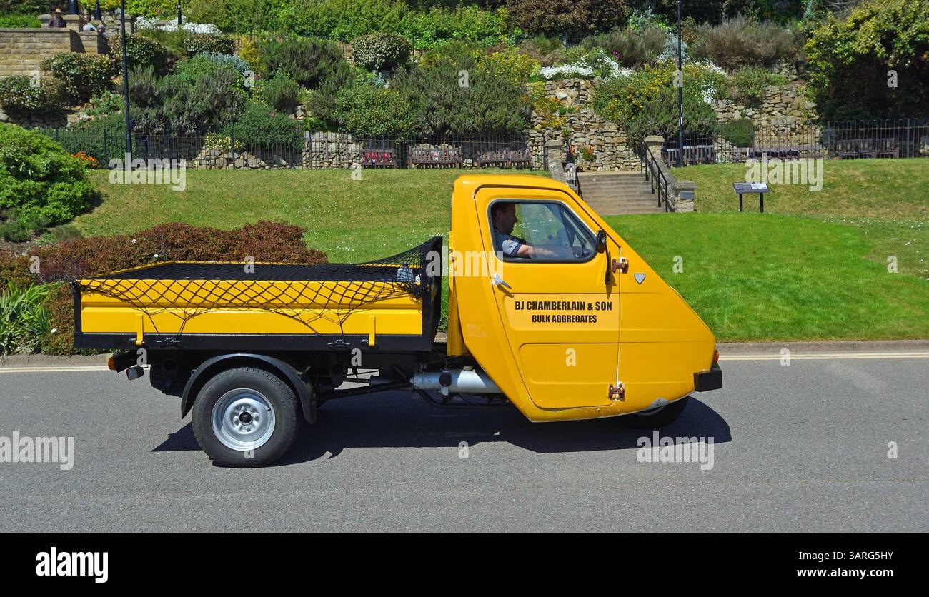 Reliant ant hi-res stock photography and images - Alamy