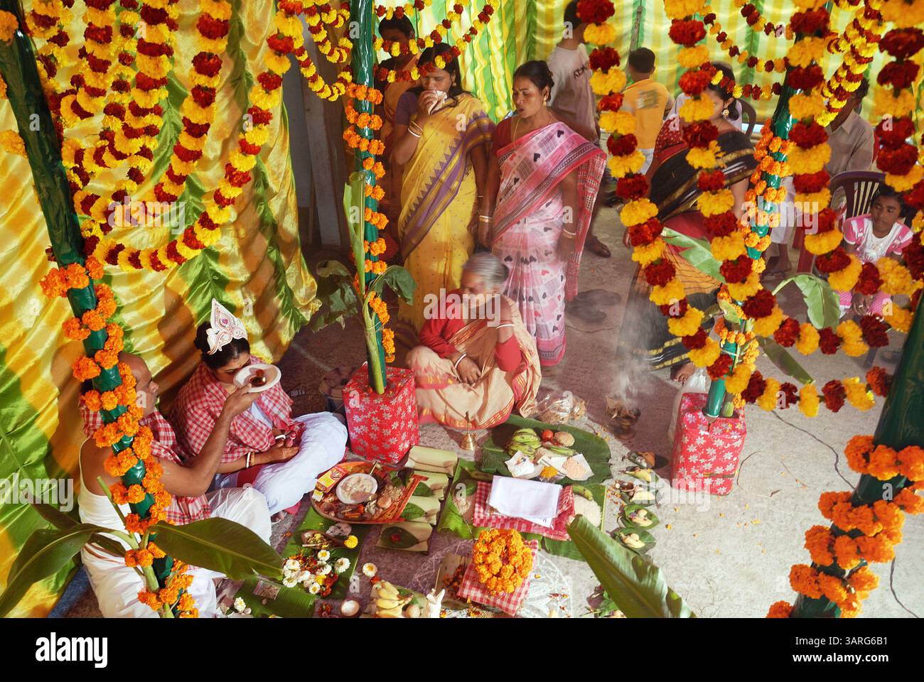 Leaves signifies hi-res stock photography and images - Alamy