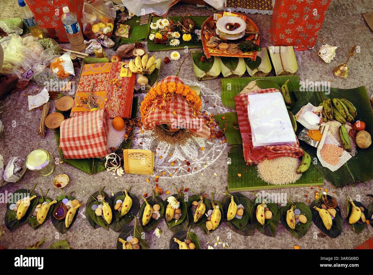 Leaves signifies hi-res stock photography and images - Alamy