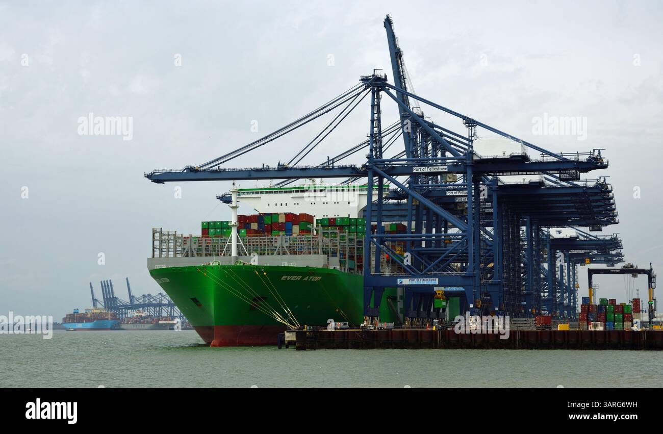 Large Container Ship "Ever Atop" being loaded - Unloaded at The Port of ...