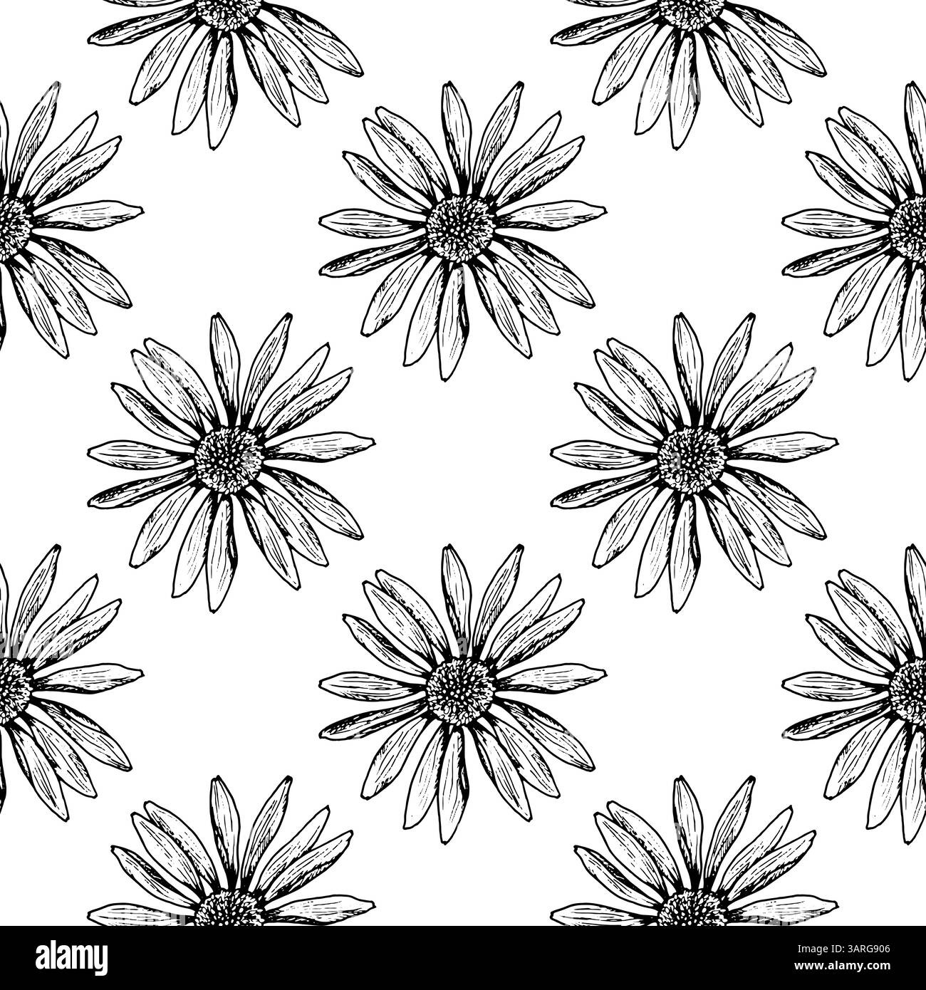 Printable wrap Cut Out Stock Images & Pictures - Alamy