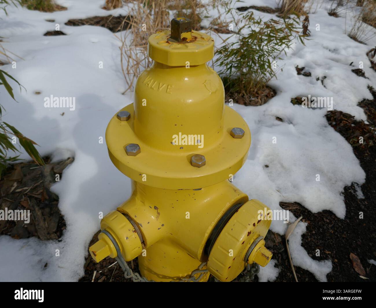 Yellow fire hydrant in winter climate with snow Stock Photo - Alamy