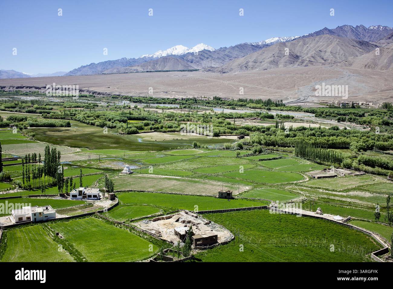 Ladakh summer growth hi-res stock photography and images - Alamy