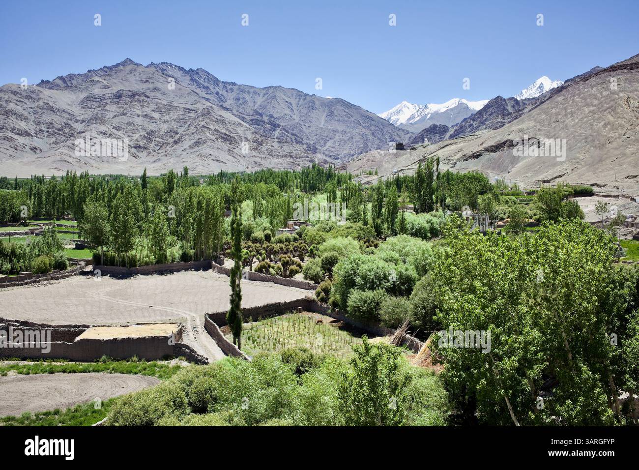 Panoramic views from Spituk Monastery, Ladakh, showing lush green ...