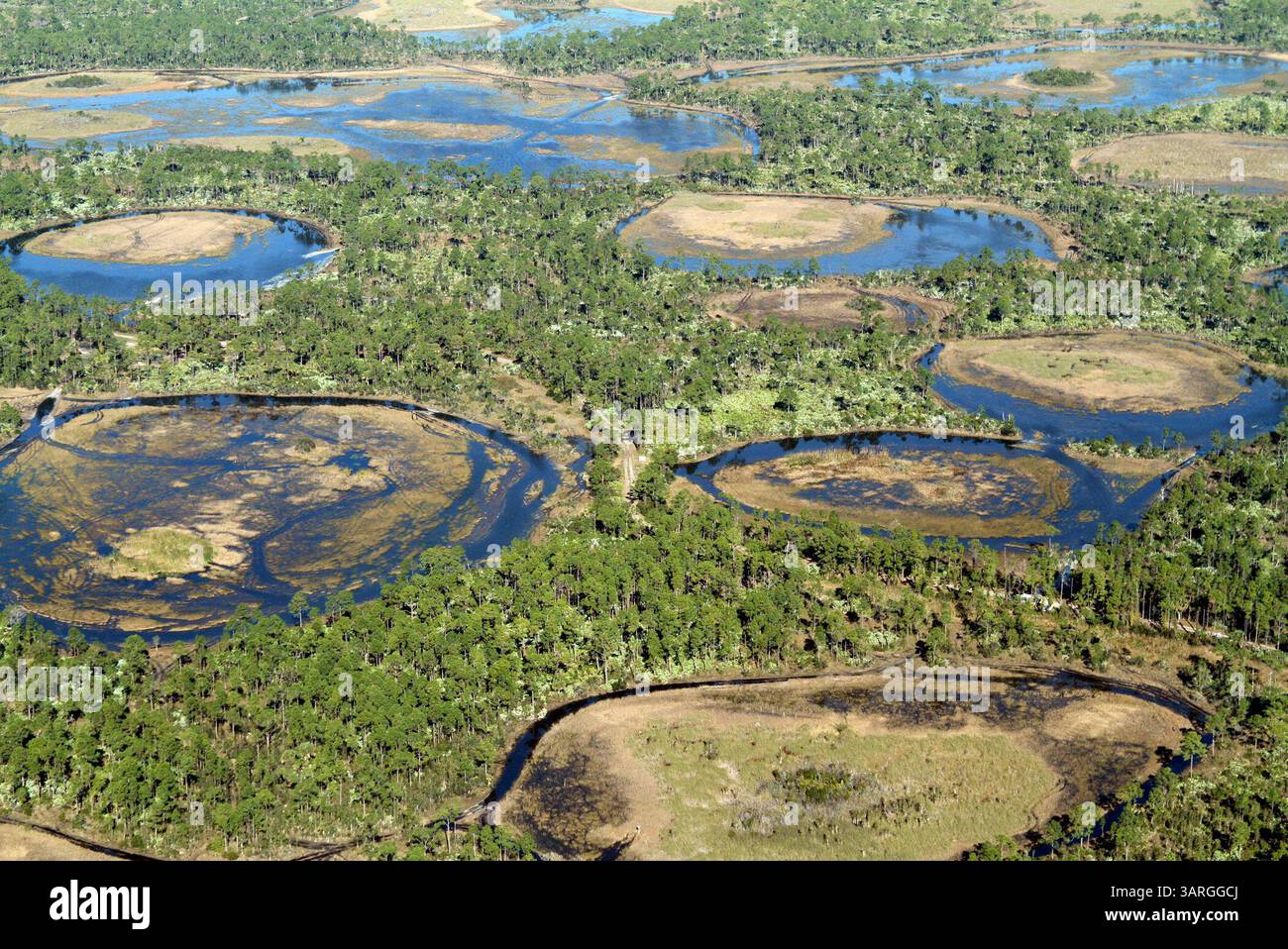 Jan. 06, 2010 - North Pbc, Florida, USA - 010610 (Taylor Jones / The ...