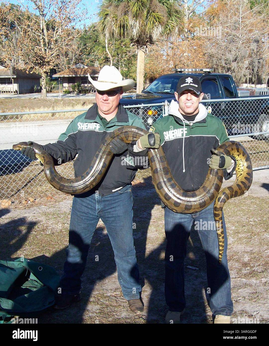 Jan 13, 2010 - Kissimmee, Florida, USA - A 12-foot green anaconda has ...