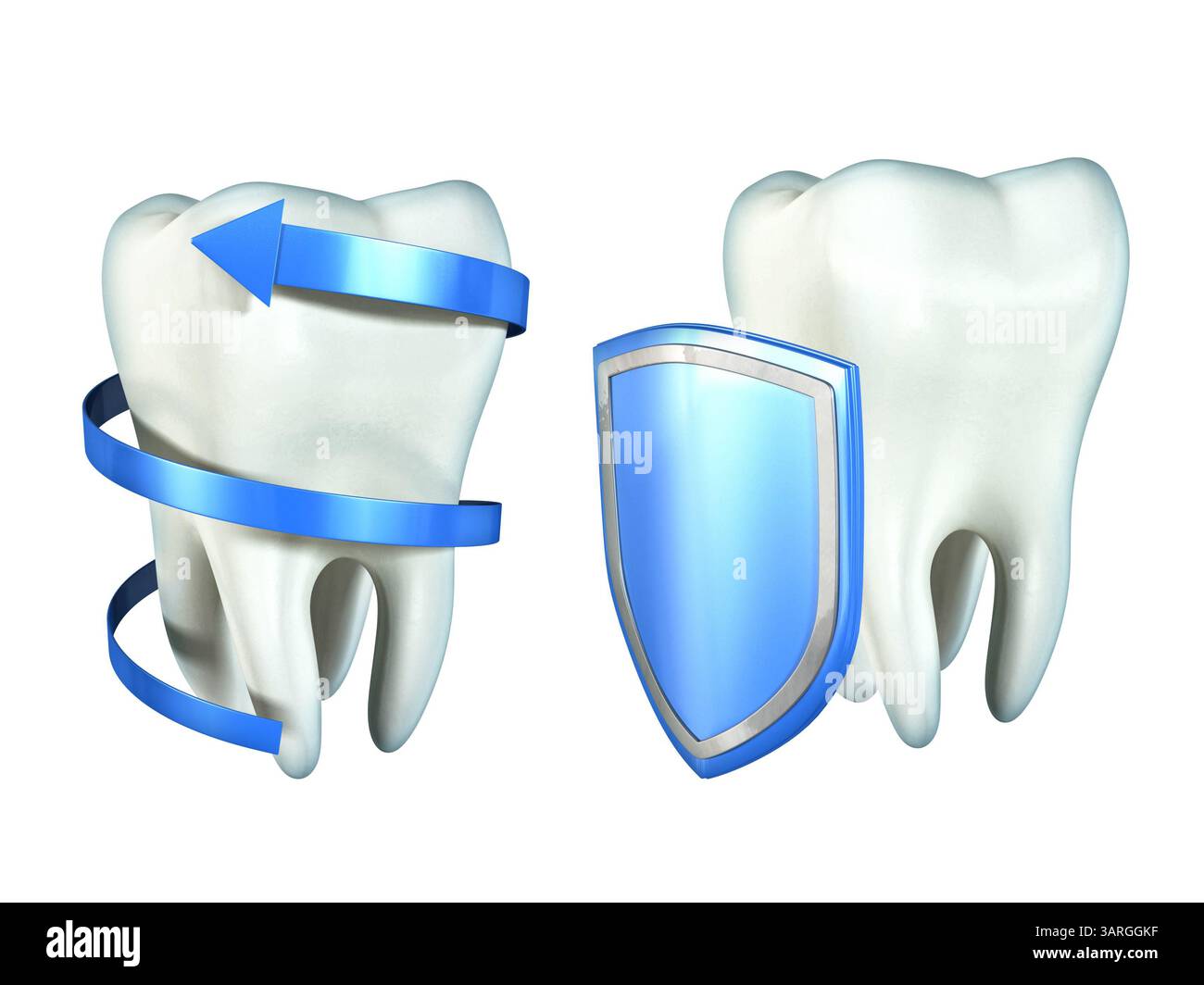 Two molar teeth protected by a spiralling arrow and a shield. Digital ...