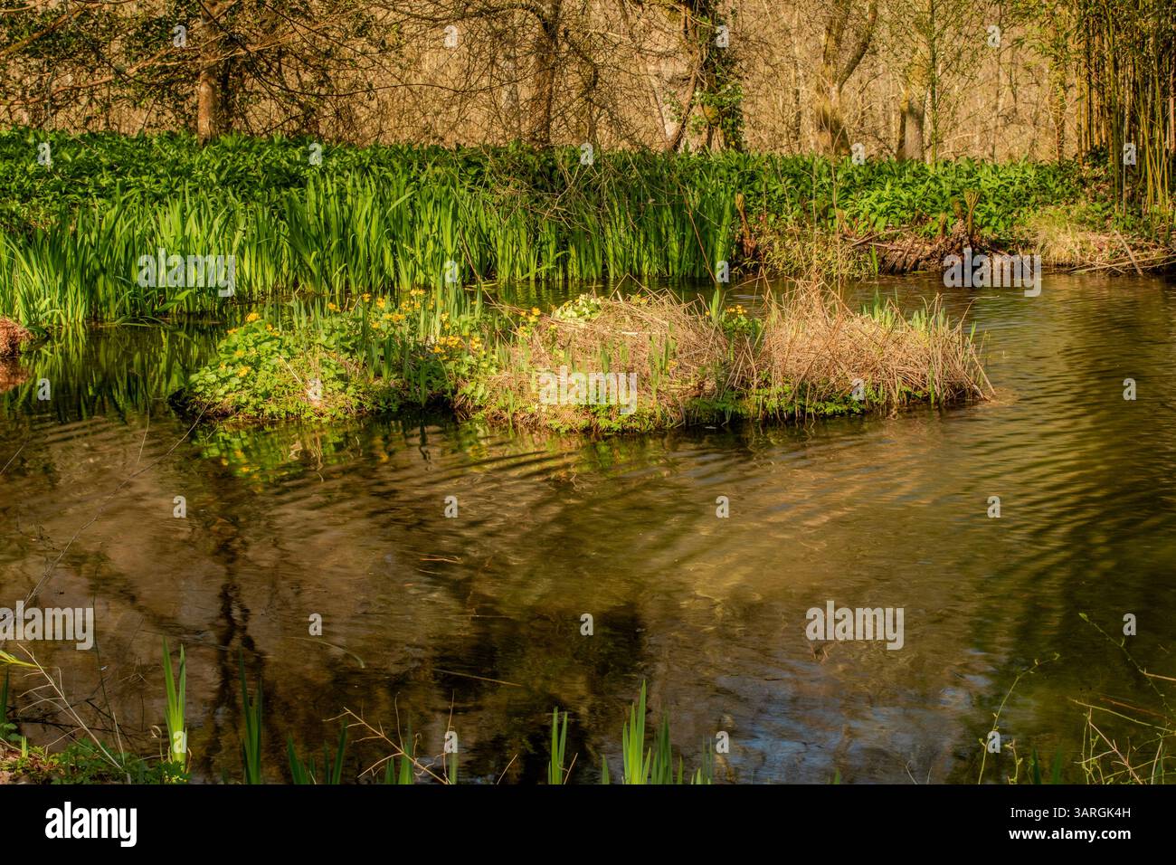 RHS Garden Rosemoor, botanical garden in North Devon, England.Alluring ...