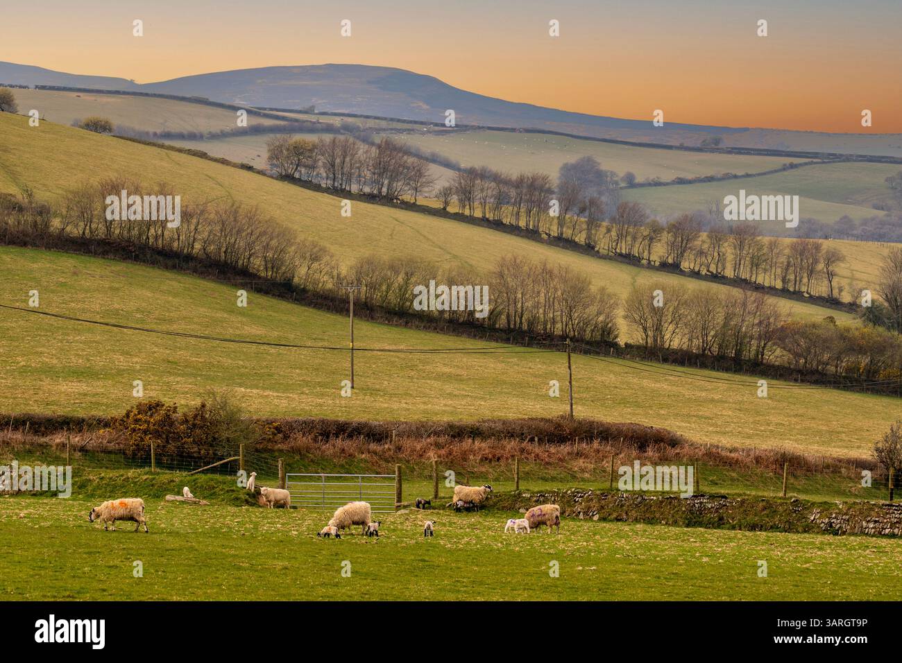 Lynton & Barnstaple narrow gauge railway tourist attraction in North ...