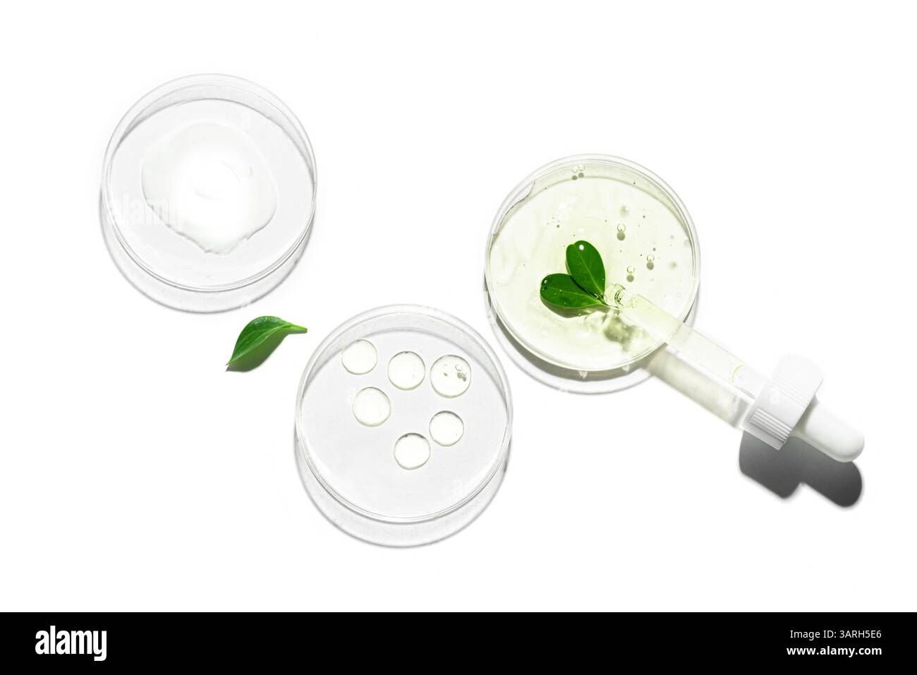 Petri dishes with green plants, serum dropper and cosmetic gel swatches ...