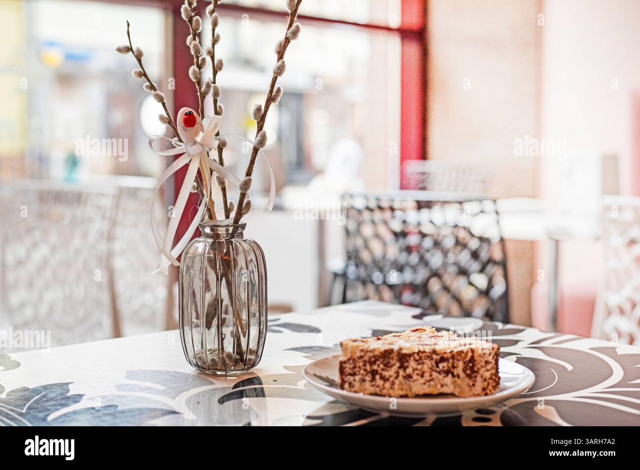 cherry pie dessert with willow branches on the table. Good morning ...