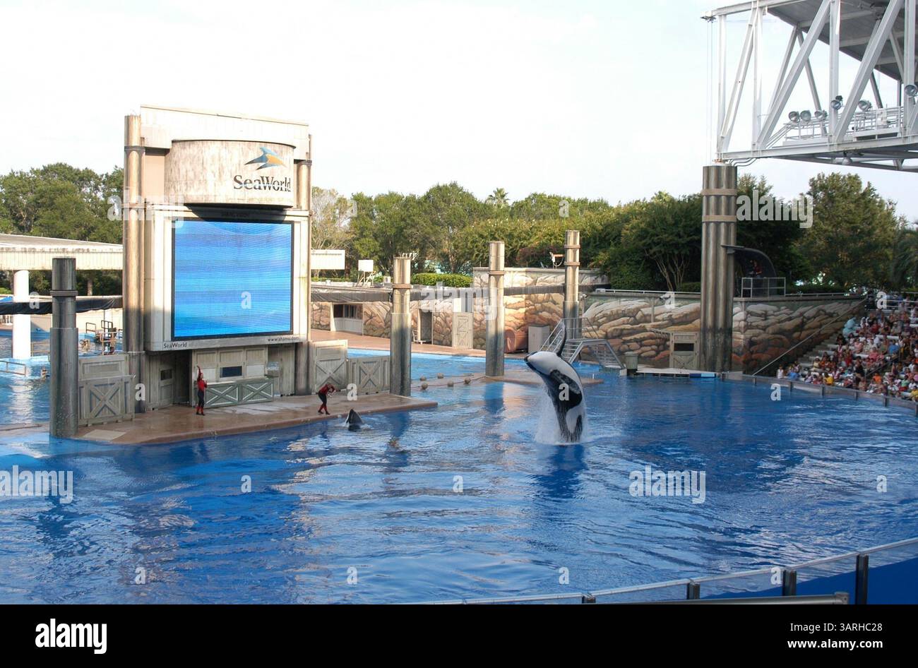 Feb 25, 2010 - Orlando, Florida, USA - A trainer at the SeaWorld park ...