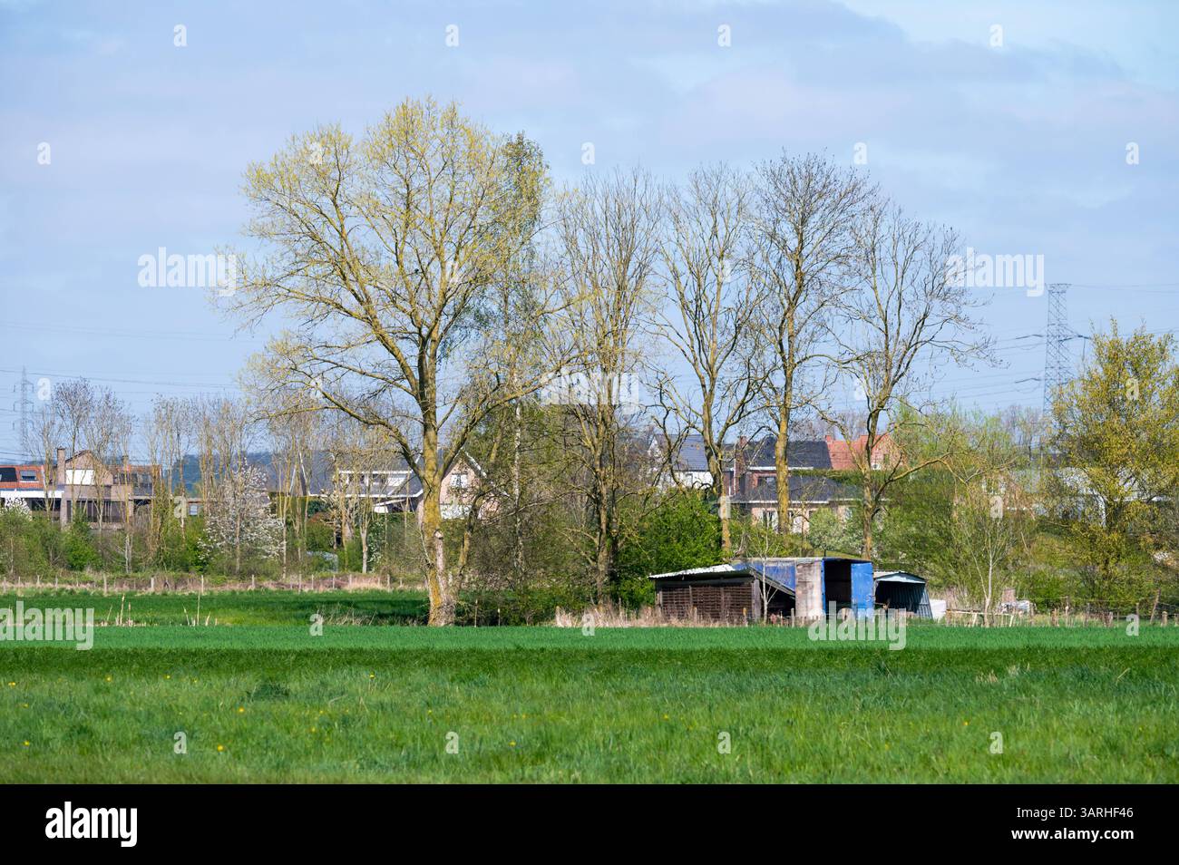 Green meadows and farmland at the Flemish countryside in Avelgem, West ...