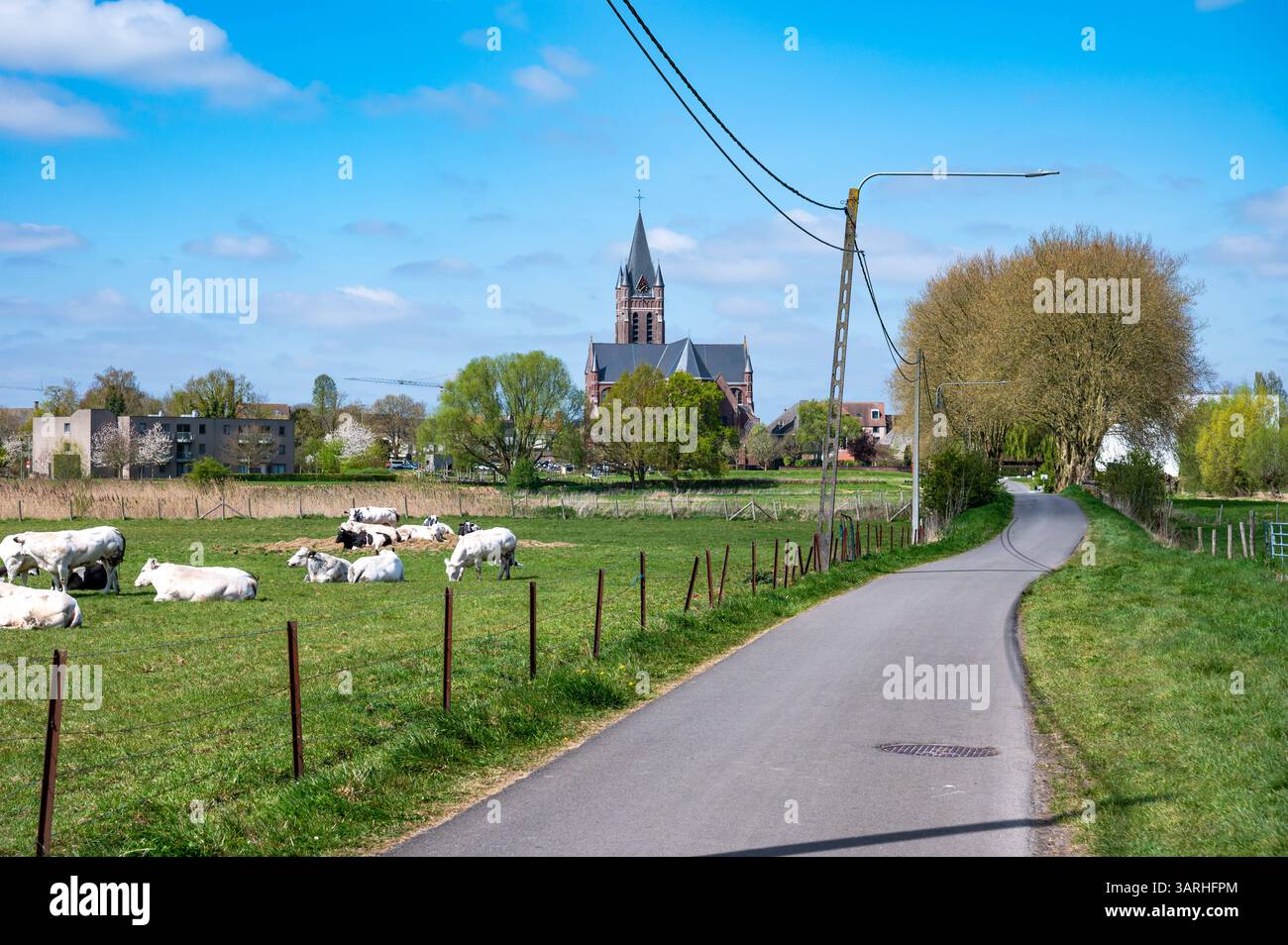 Countryroad through the agriculture fields of the village Avelgem, West ...