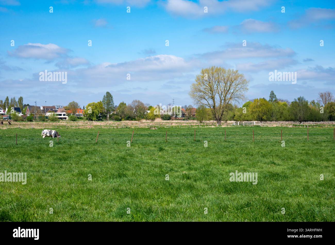 Green meadows and farmland at the Flemish countryside in Avelgem, West ...