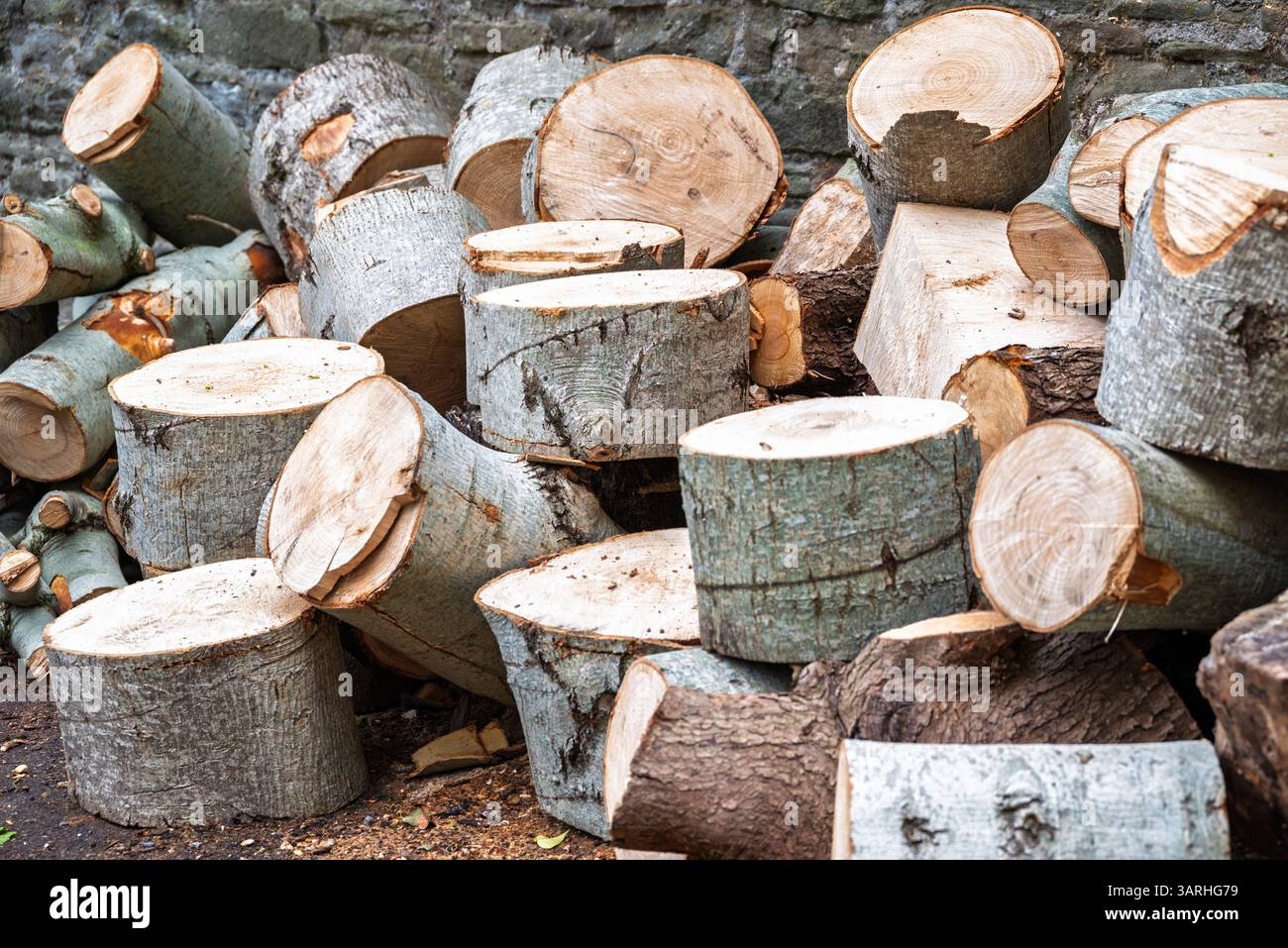 A pile of freshly cut logs and firewood sits ready for use, likely to ...