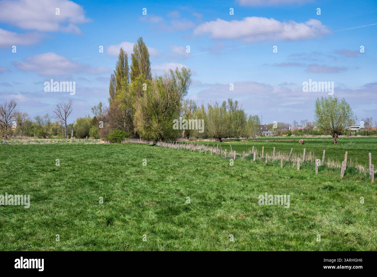 Green meadows and farmland at the Flemish countryside in Avelgem, West ...