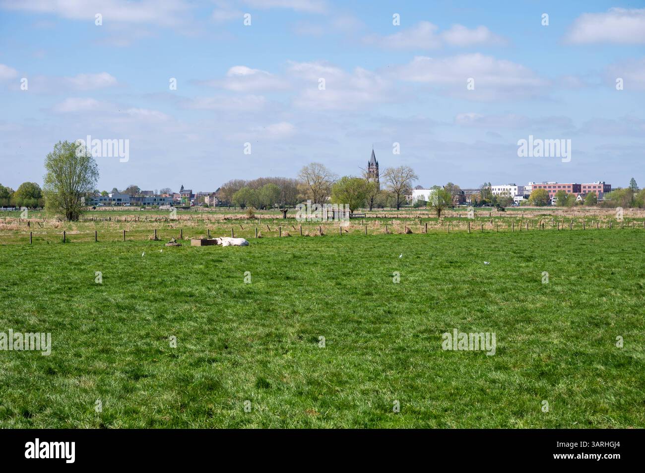 Green meadows and farmland at the Flemish countryside in Avelgem, West ...