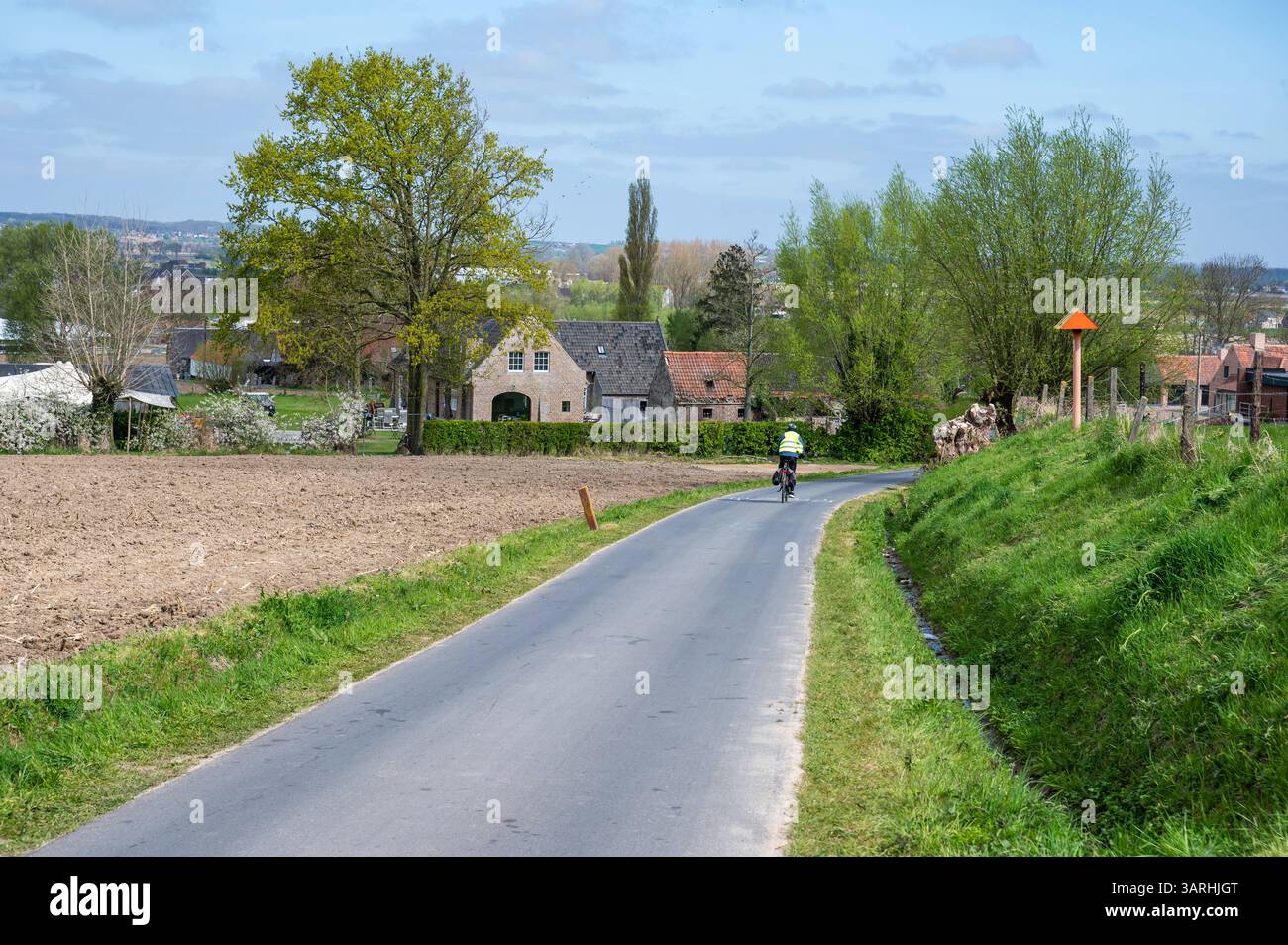 Cyclist driving down the Oude Kwaremont in Kluisbergen, East Flemish ...