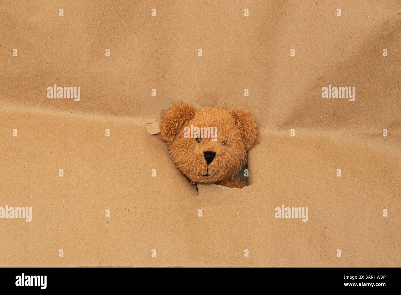Naughty teddy bear hi-res stock photography and images - Alamy