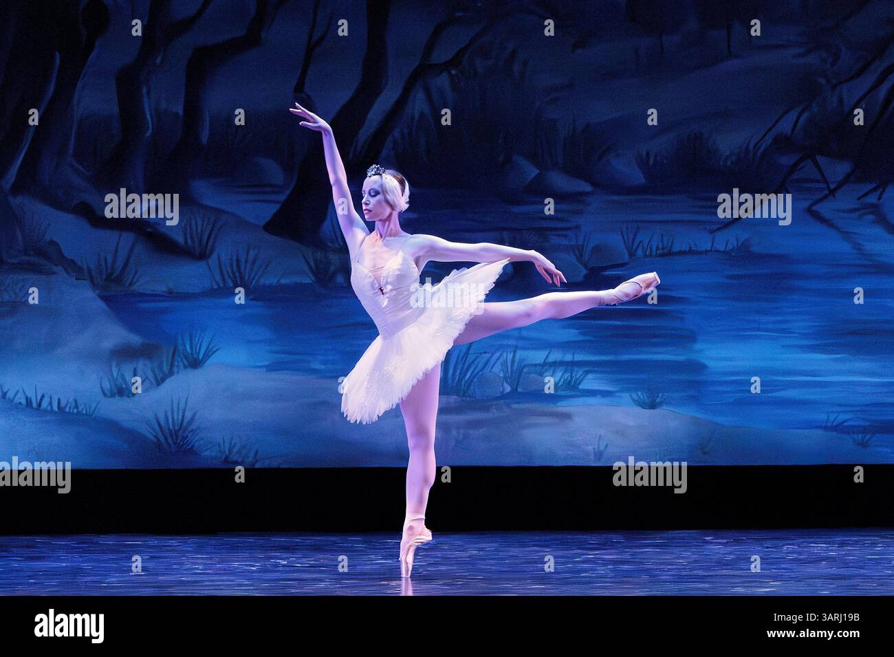 Princess Odette in Swan Lake ballet, San Diego, California Stock Photo ...