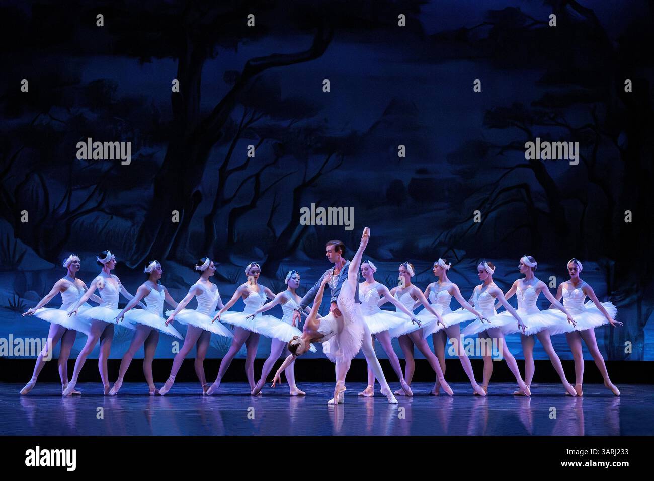 Odette, Siegfried and her swans in Tchaikovsky's Swan Lake, San Diego ...