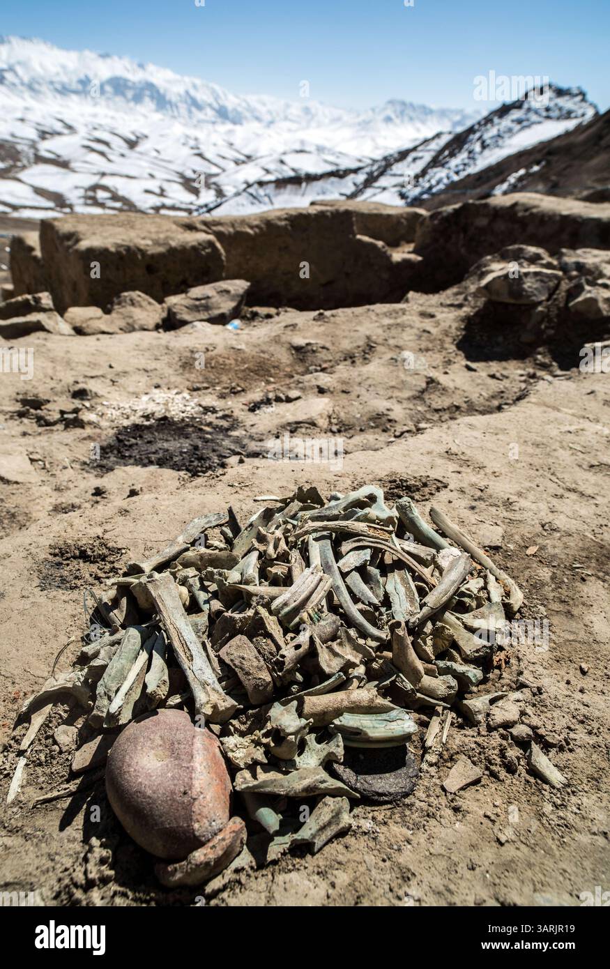 March 4, 2013 - Logar Province, AFG - Animal bones recovered from the ...