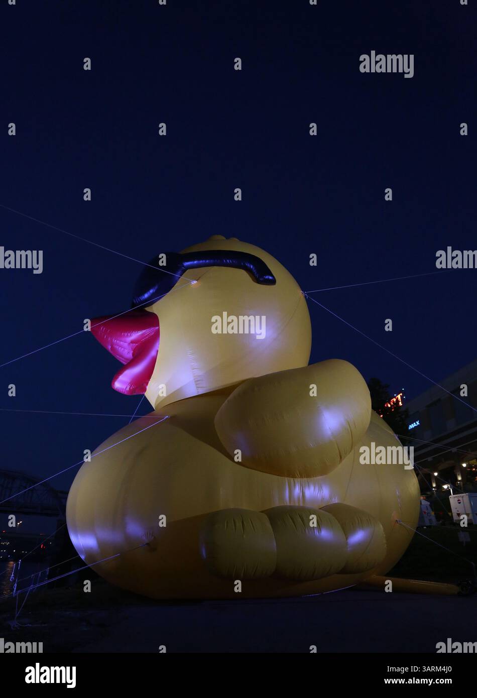 Aug. 30, 2013 - Newport, Kentucky, U.S - Quacky the World's Largest ...
