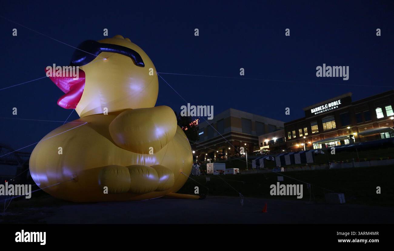 Aug. 30, 2013 - Newport, Kentucky, U.S - Quacky the World's Largest ...