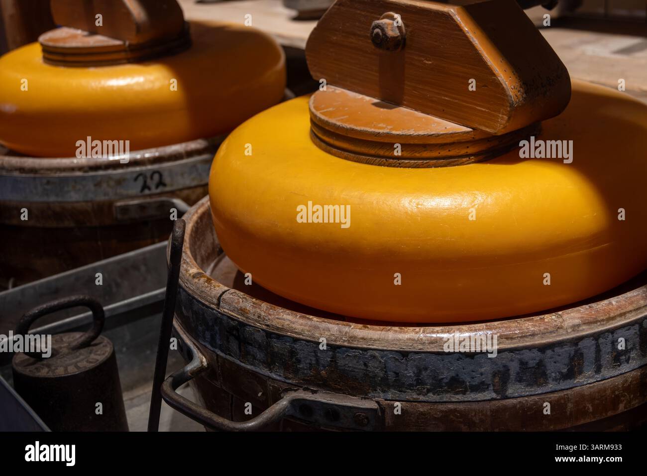 Cow's milk cheese production process at cheese factory in North Holland ...