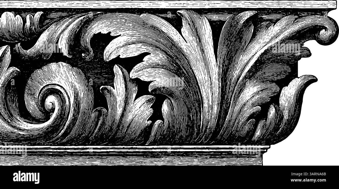 Elegant decorative ornamental scrolls Stock Vector Images - Alamy