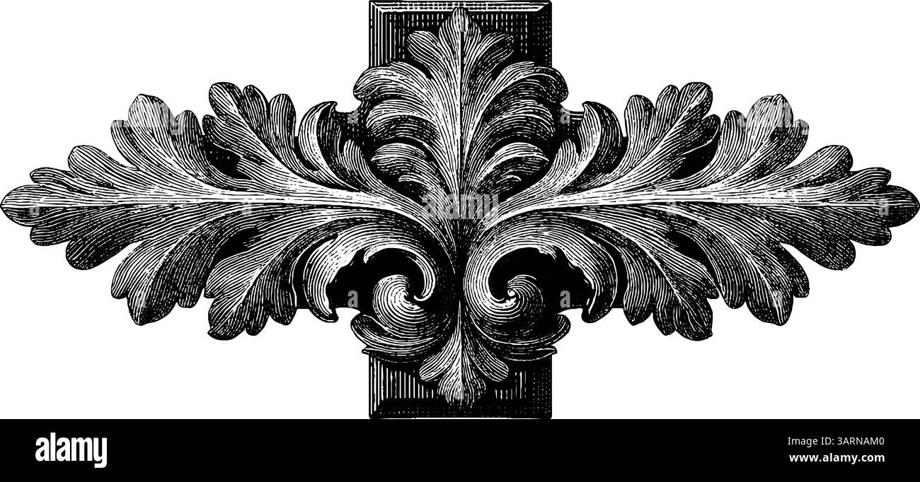 Detailed engraved illustration of baroque ornament with symmetrical ...