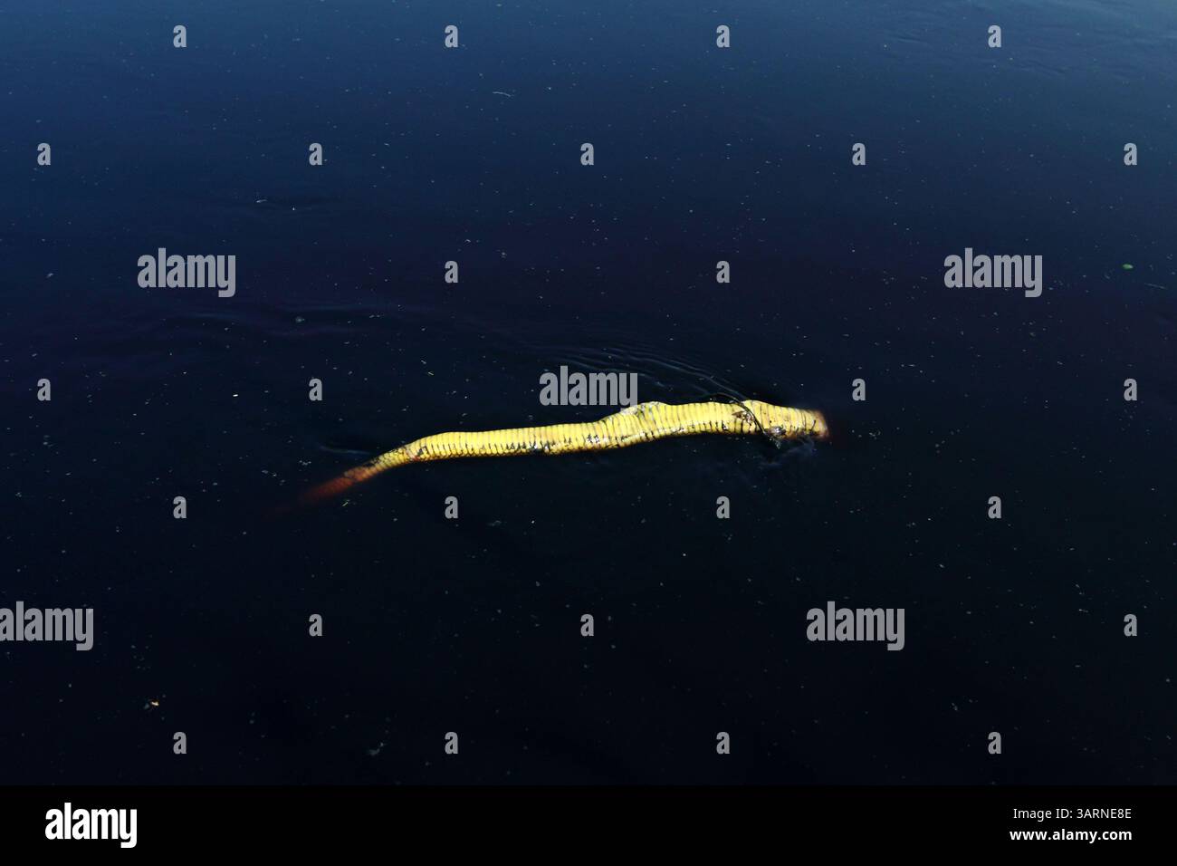 Feb 25, 2011 - Gazipur, Bnagladesh - Polluted river water disturbs the ...