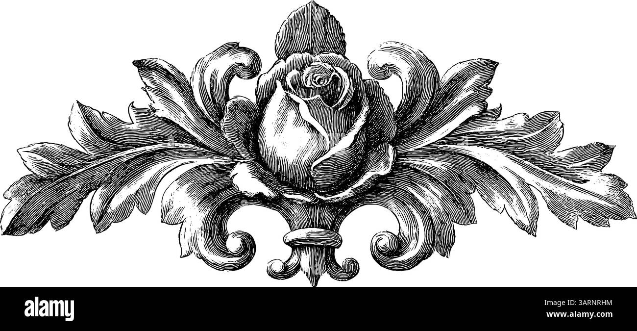 Baroque rose ornament design with engraved floral details Stock Vector ...
