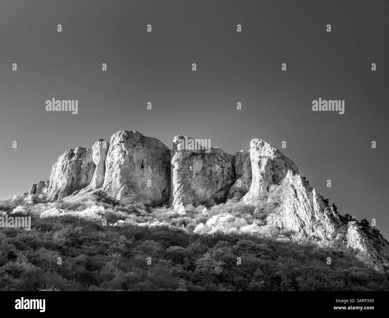 Summer in south france Black and White Stock Photos & Images - Alamy