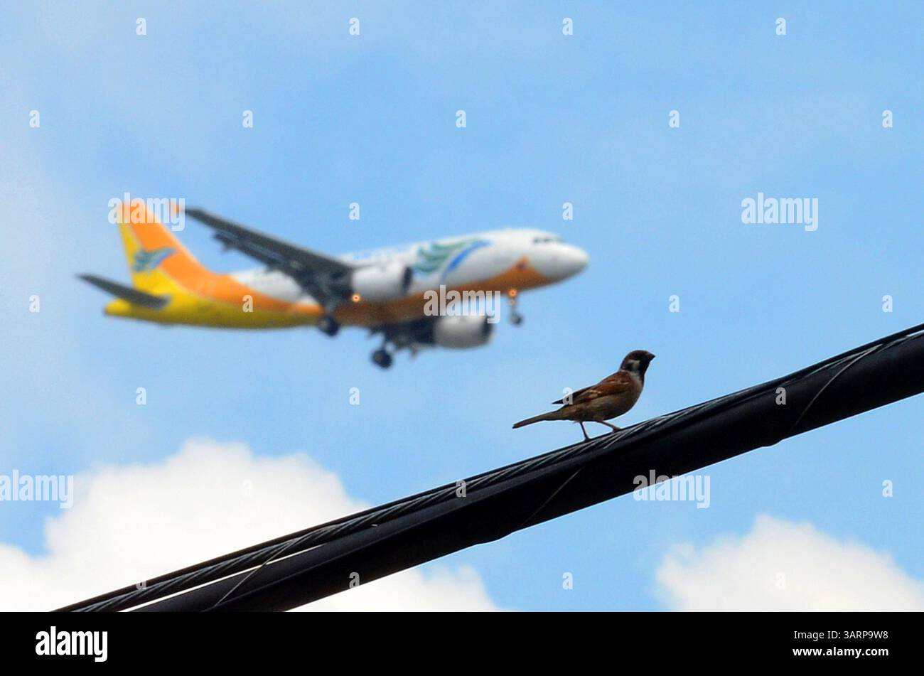 Tongo flag hi-res stock photography and images - Alamy