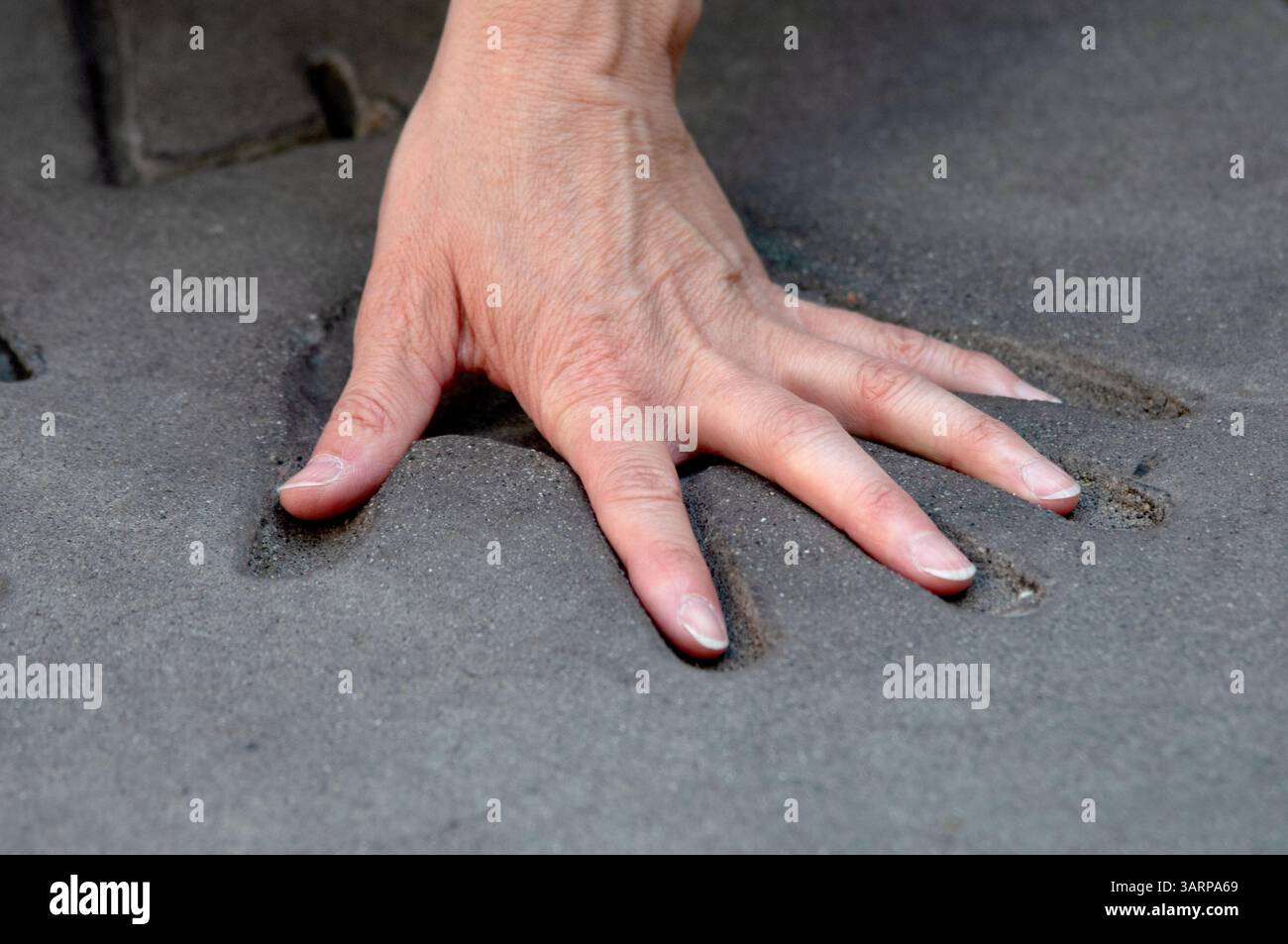 HOLLYWOOD, CALIFORNIA, USA: A woman places her hand in one of the ...