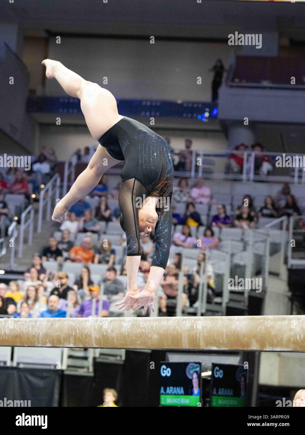 Ft Worth, Texas, USA. 17th Apr, 2025. Florida Gators gymnast ALYSSA ...