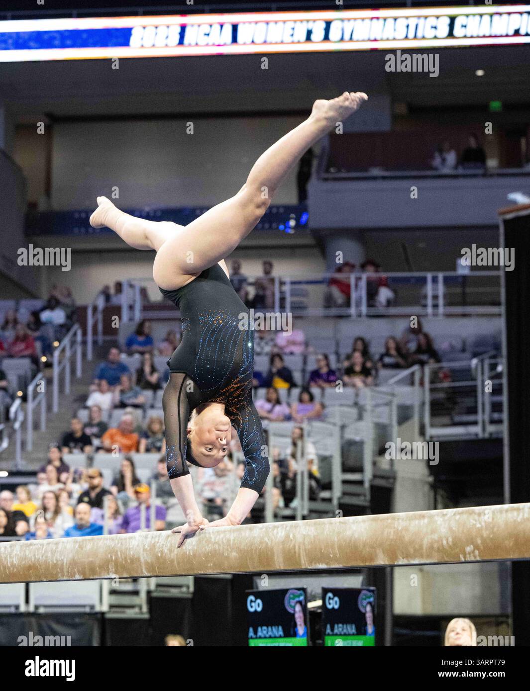 Ft Worth, Texas, USA. 17th Apr, 2025. Florida Gators gymnast ALYSSA ...